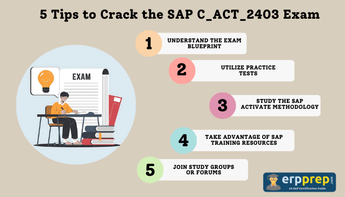 Top 10 Reasons to Earn SAP Activate Certification | ERPPrep